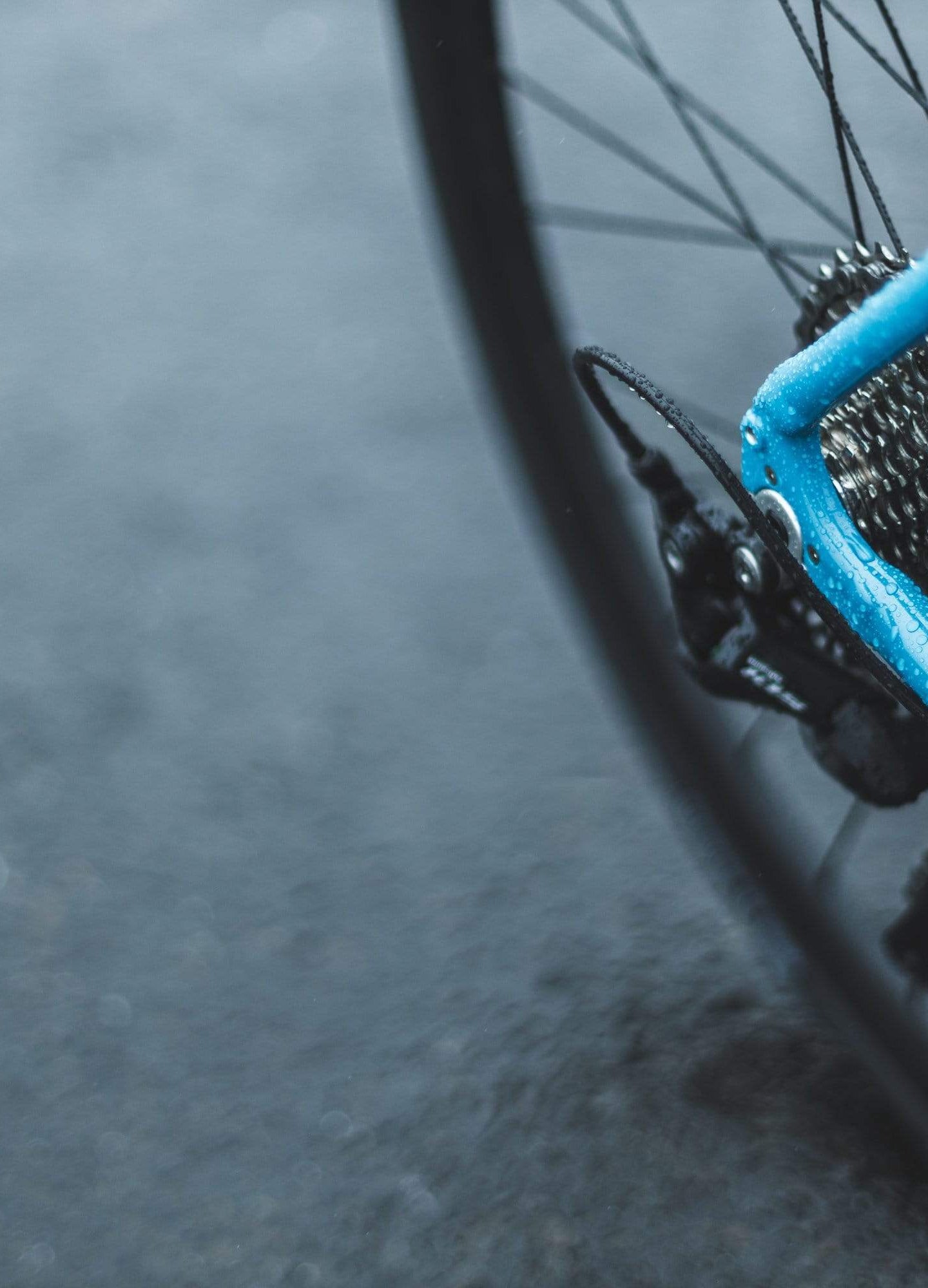 Sonder Colibri Al Frame and Fork