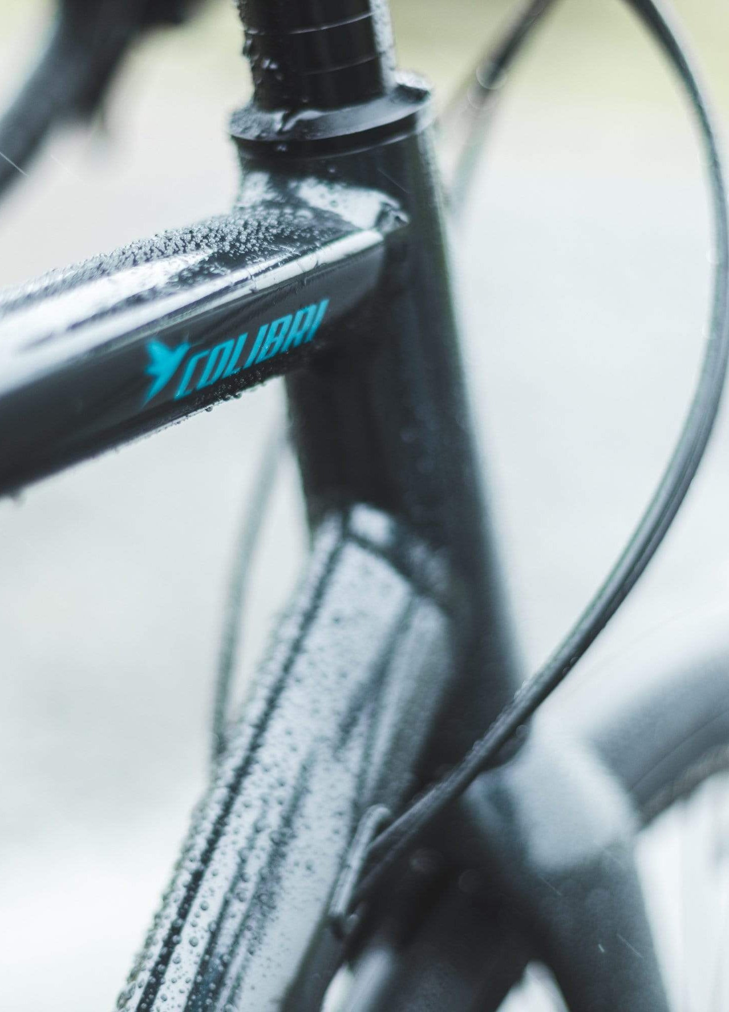 Sonder Colibri Al Frame and Fork