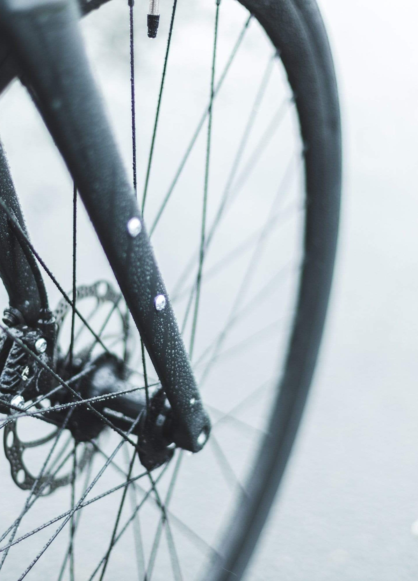 Sonder Colibri Al 105 | Aluminium endurance road bike