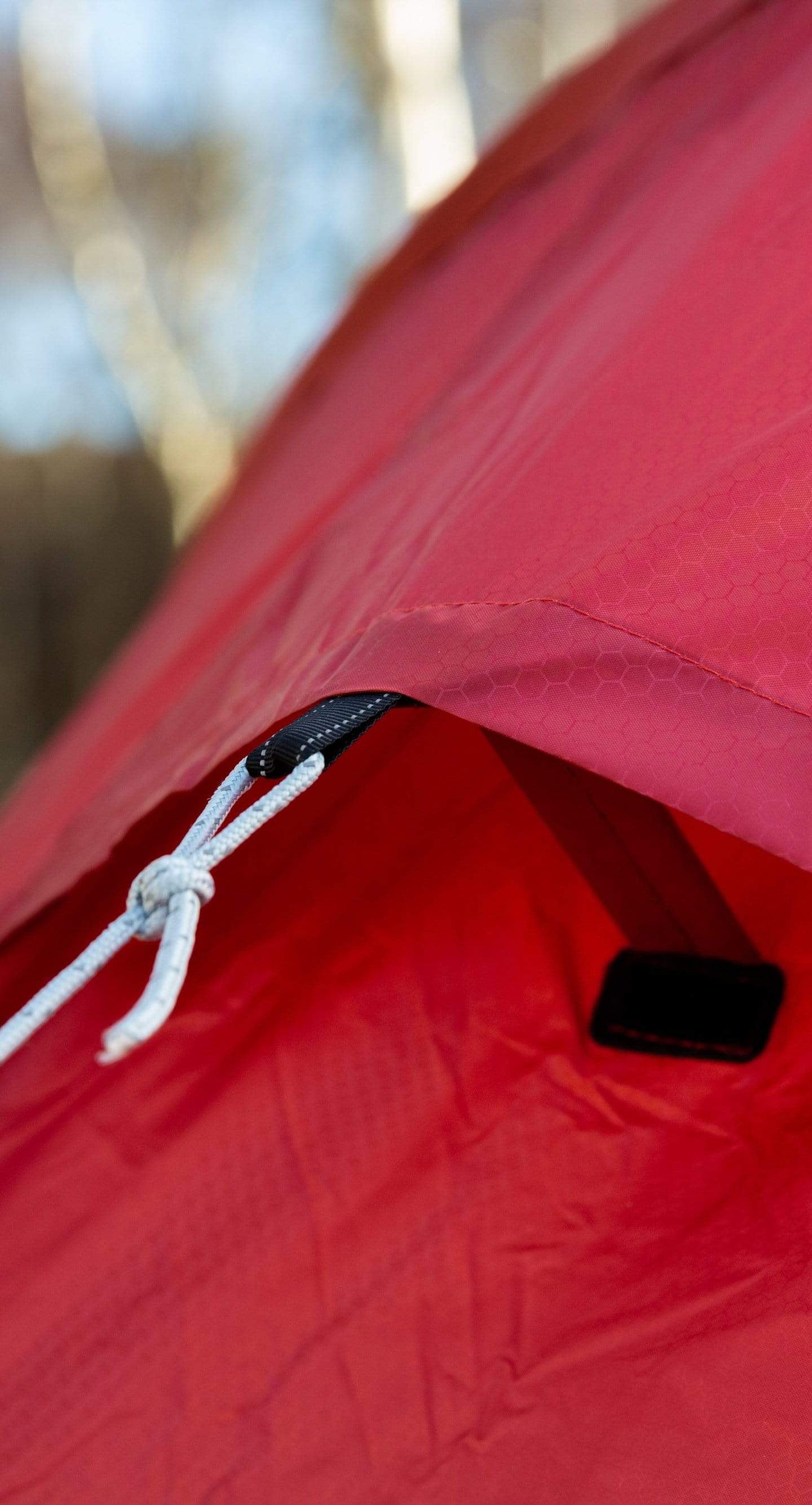 Viso 2 Spacious 2-Person Tunnel Tent